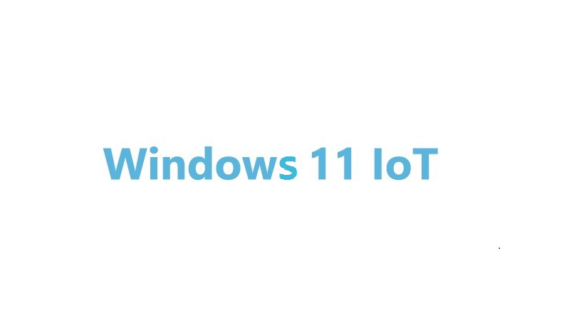 968TW11ECE-Win 11 IoT Ent Entry EPKEA